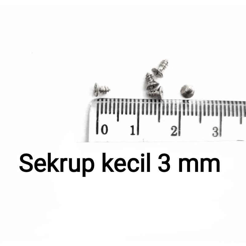Jual (100 pcs) Sekrup skrup scrub kecil mini 3 mm | Shopee Indonesia