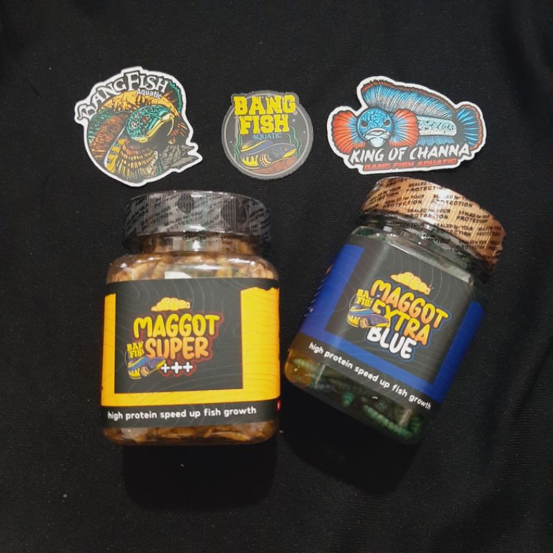Jual PAKET BUNDLING MAGGOT SUPER+++ & MAGGOT EXTRA BLUE ORIGINAL (BANG ...