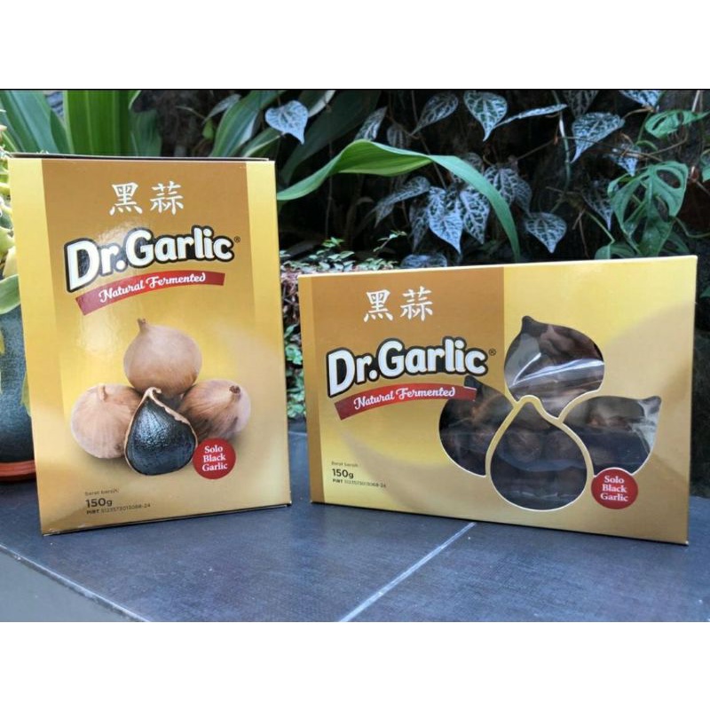Jual DR GARLIC SOLO BLACK GARLIC (BAWANG LANANG) | Shopee Indonesia