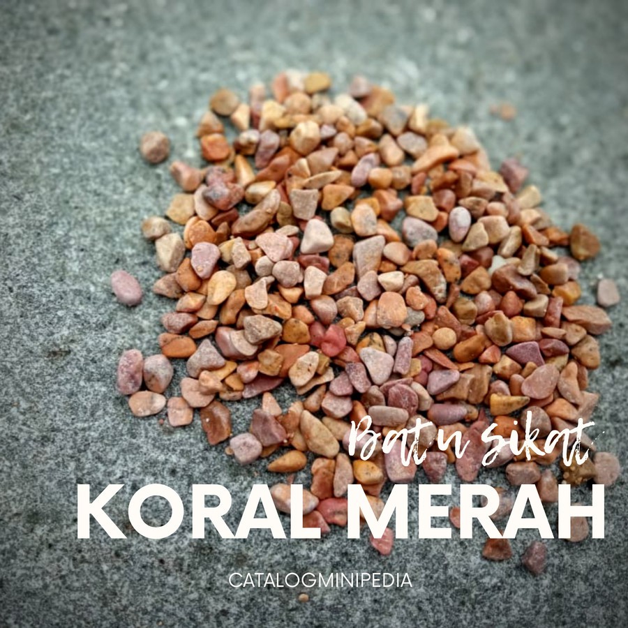 Jual Batu Alam Batu Koral Sikat Batu Kerikil Berbagai Jenis & Ukuran ...