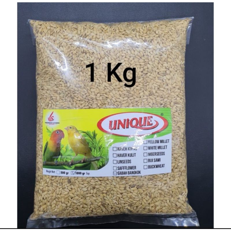 Jual Gabah Bangkok 1 Kg Gabah Lampung | Shopee Indonesia
