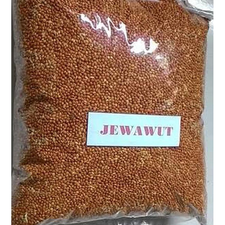 Jual Kopi- BIJI JAWAWUT / OTEK / JEWAWUT 1 KG -Biji-Kopi. | Shopee ...