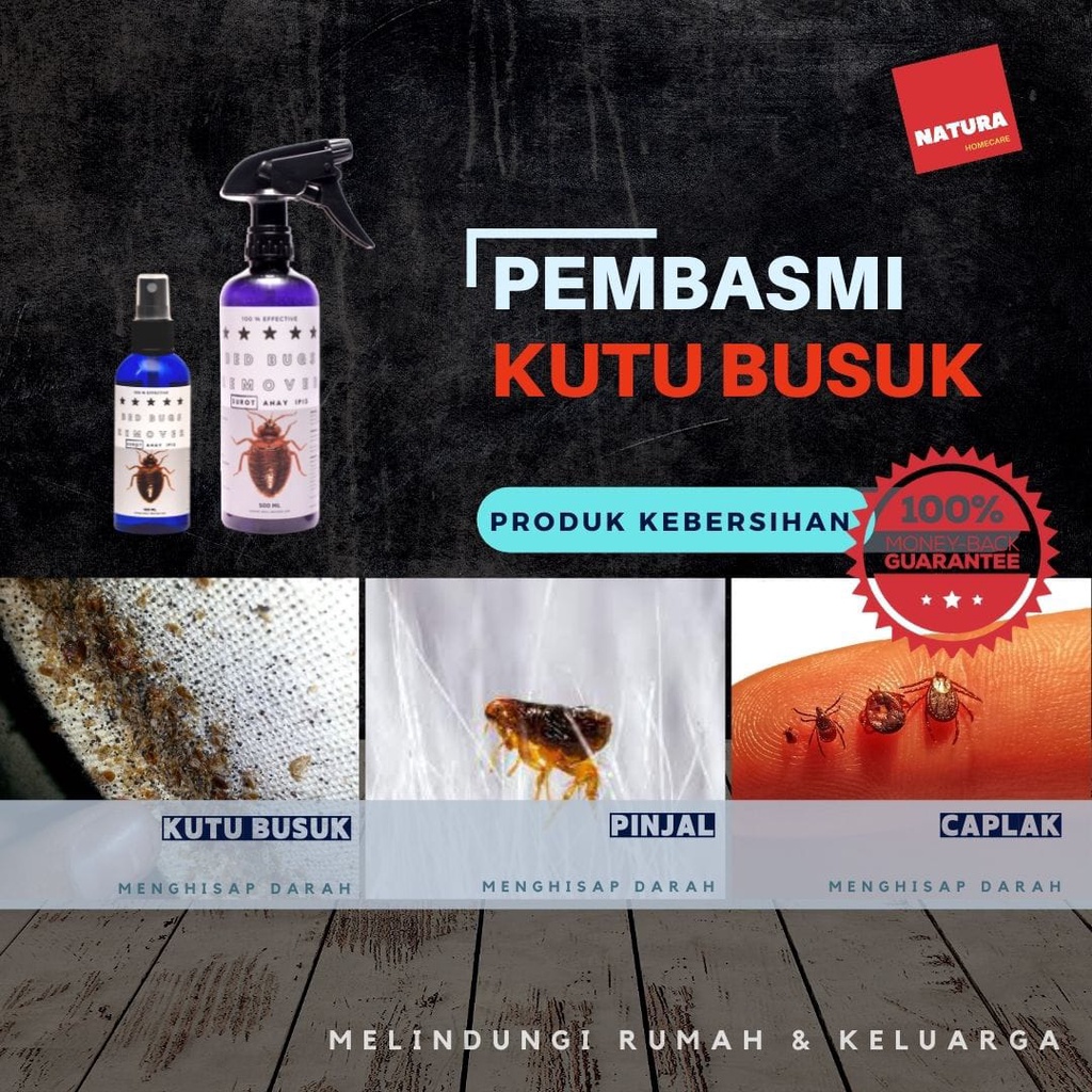 Jual Pembunuh Tungau Debu, Obat Pembasmi Kutu Kasur 100% Efektif ...