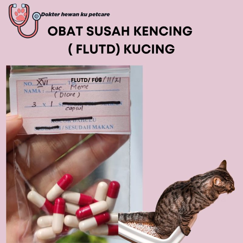 Jual OBAT RACIK SUSAH KENCING (FLUTD/ FUS) UNTUK KUCING | Shopee Indonesia