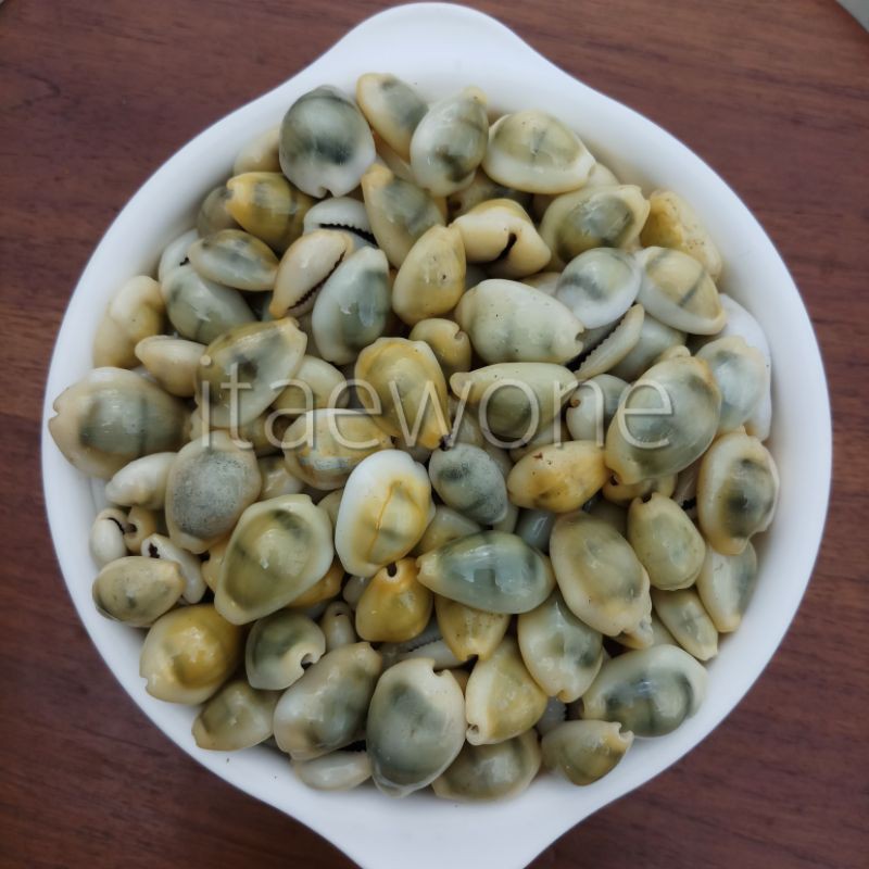 Jual kewuk kuning kuwuk gajih 100gr | Shopee Indonesia