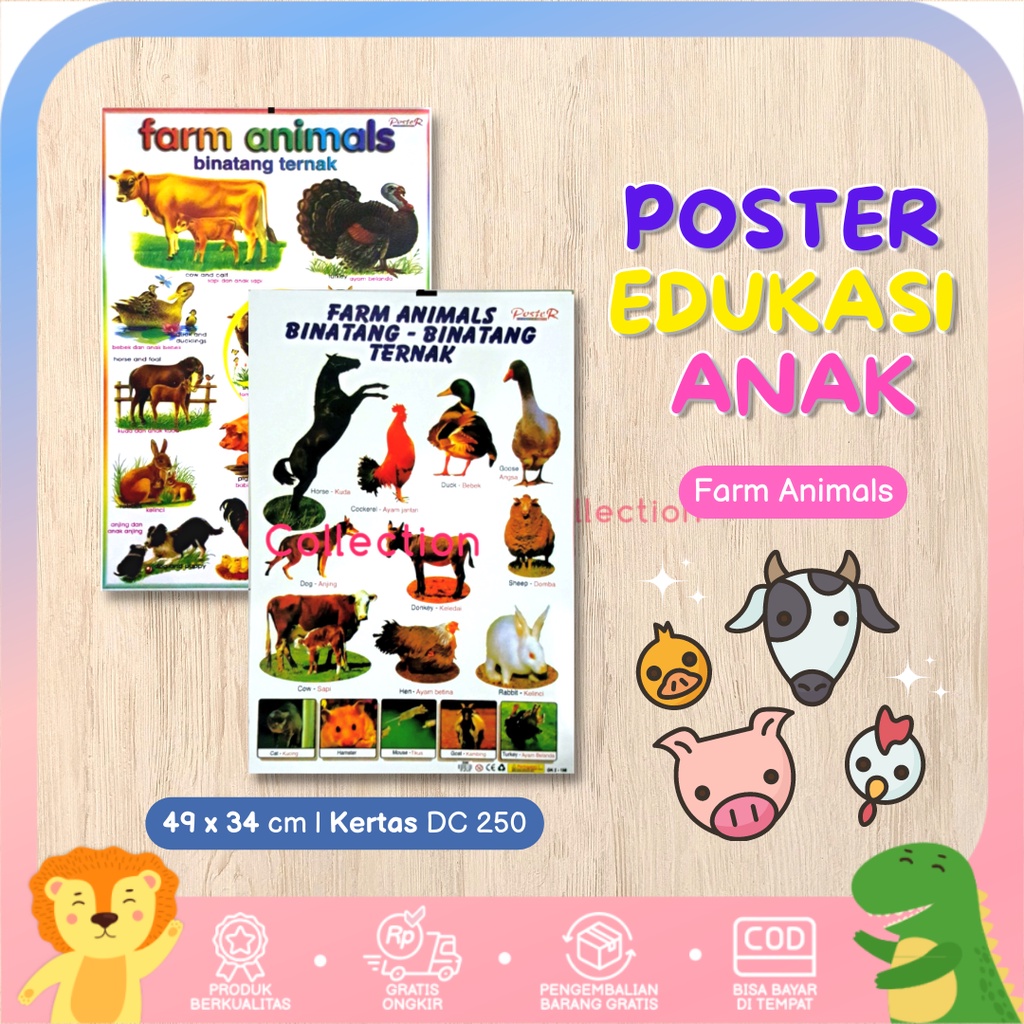 Jual Poster Anak Belajar Aneka Binatang Farm Animal Hewan Ternak ...