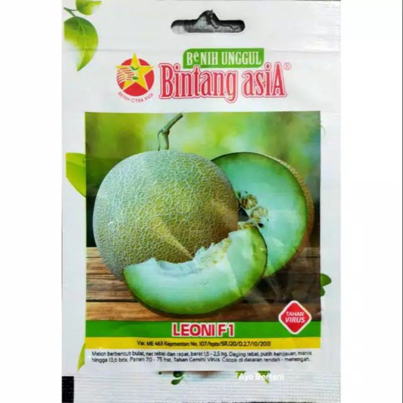 Jual Benih Melon Leoni F1 Bintang Asia cocok sebagai tanaman buah ...