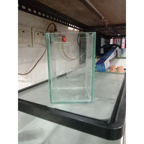 Jual Soliter cupang ukuran 10x10x15 kaca 5mm Soliter kaca Aquarium ...