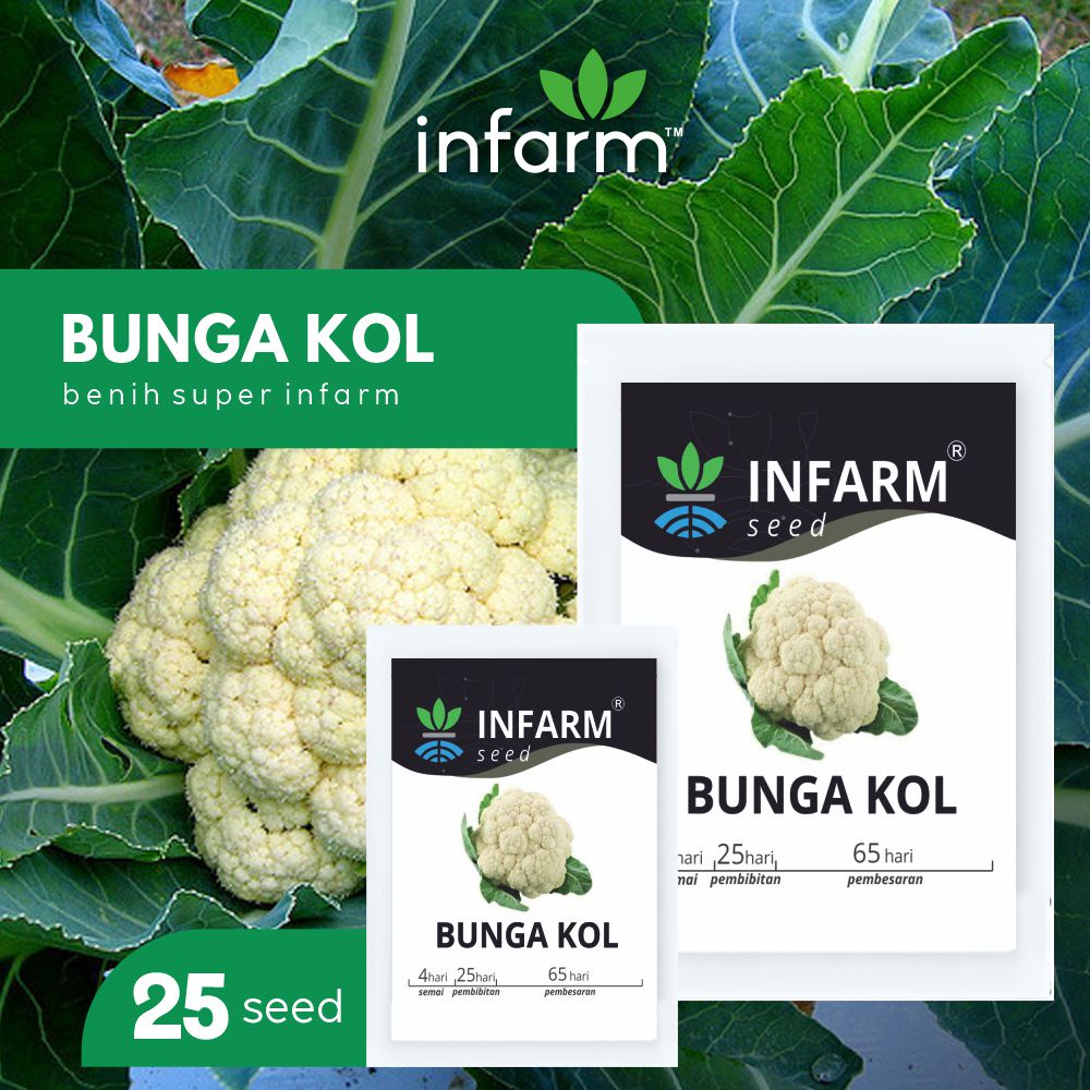 Jual INFARM - Benih Bibit Biji Super Kembang Kol / Cauliflower / Bunga ...