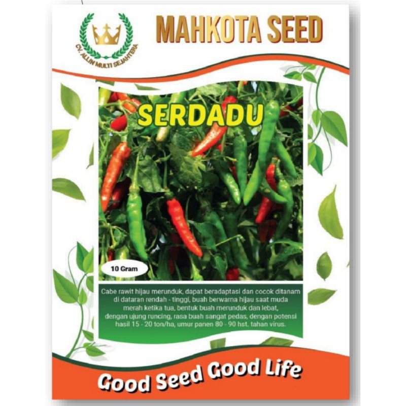 Jual Benih Cabe Lokal Hijau ( Rajo ) Mahkota Seed Serdadu - 10 gram ...