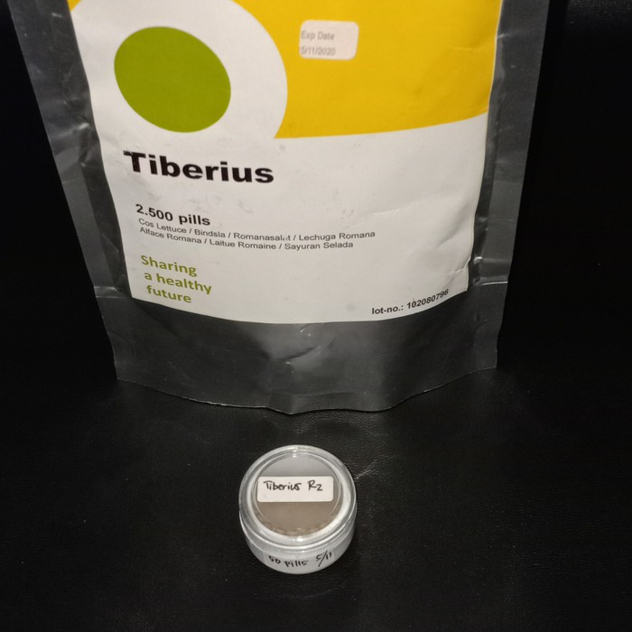 Jual Benih Selada Tiberius Lettuce RZ isi 50 butir pills Murah | Shopee ...