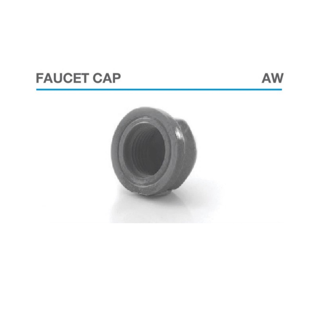 Jual Dop Drat Dalam Fitting PVC Merk SCG 1/2" | Shopee Indonesia