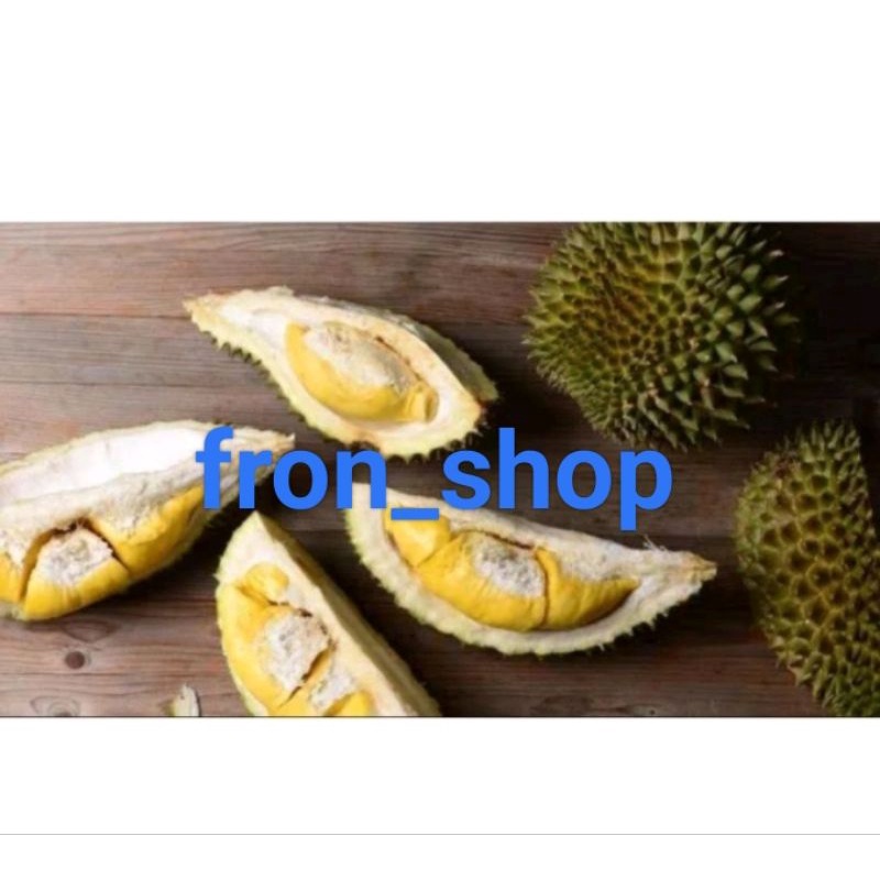 Jual Biji Benih Durian Super Siap Semai/Tanam 1kg | Shopee Indonesia