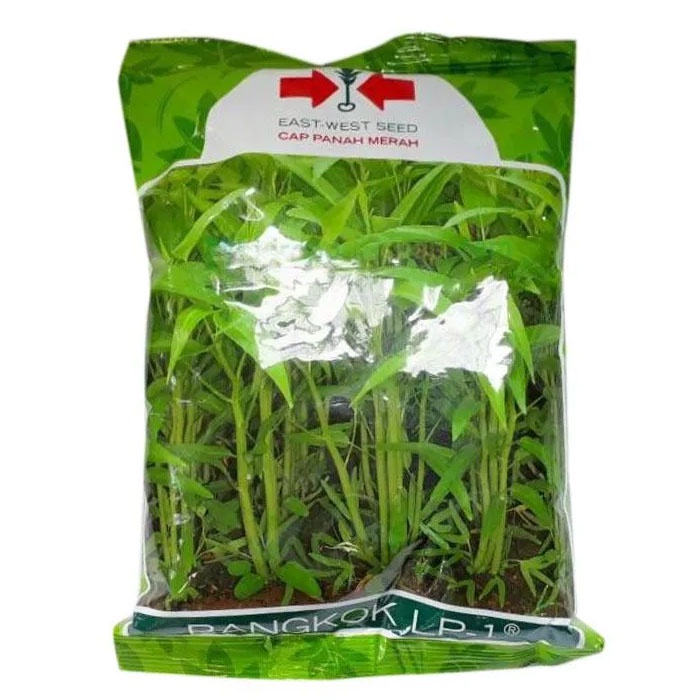 Jual COD Cap Panah Merah / Benih Kangkung Bangkok LP 1 Isi 1KG | Shopee ...
