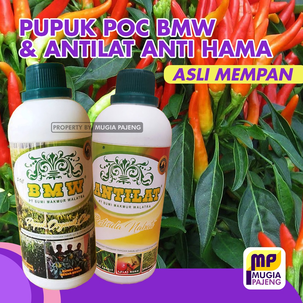 Jual Pupuk Organik POC Nutrisi Tanaman Pelebat Buah dan Penyubur Benih Cabe Rawit Dan Pestisida ...