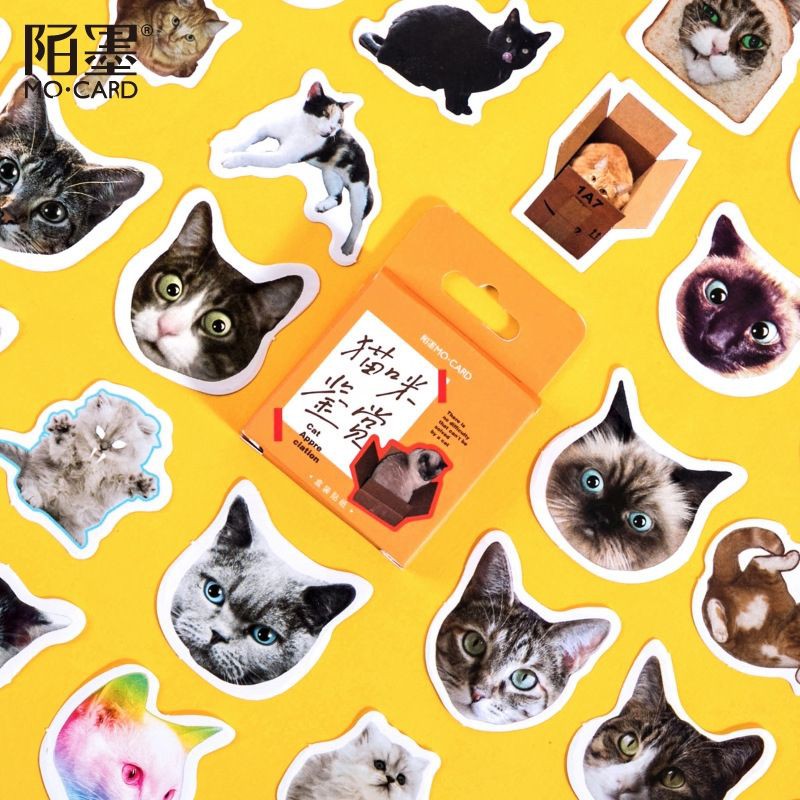 Jual Sticker Cat head kumpulan gambar kucing | Shopee Indonesia