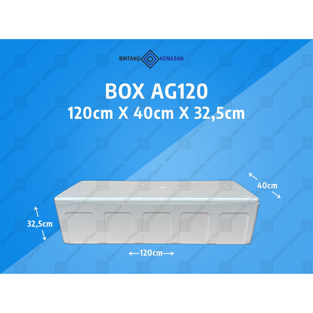 Jual Box Styrofoam AG120 120 x 40 x 32.5cm Box Ikan/Box Foam/Box Packing/Box Sterofoam | Shopee ...