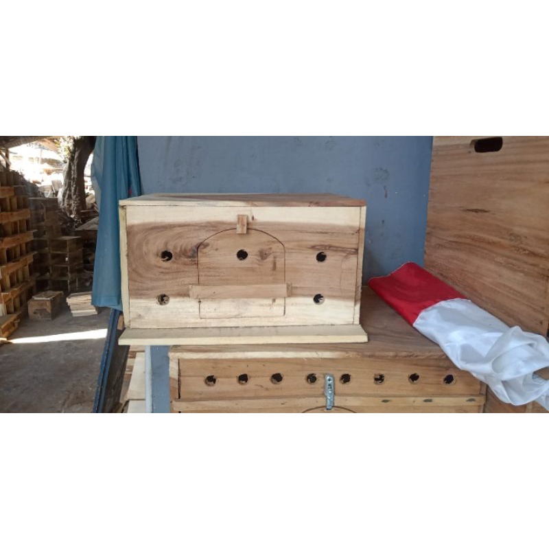 Jual Gupon kandang merpati / burung dara | Shopee Indonesia