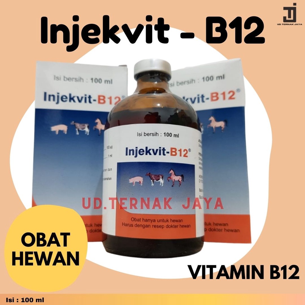 Jual Injeksi Injekvit B-12 100 ml Perbaiki pertumbuhan dan produksi ...
