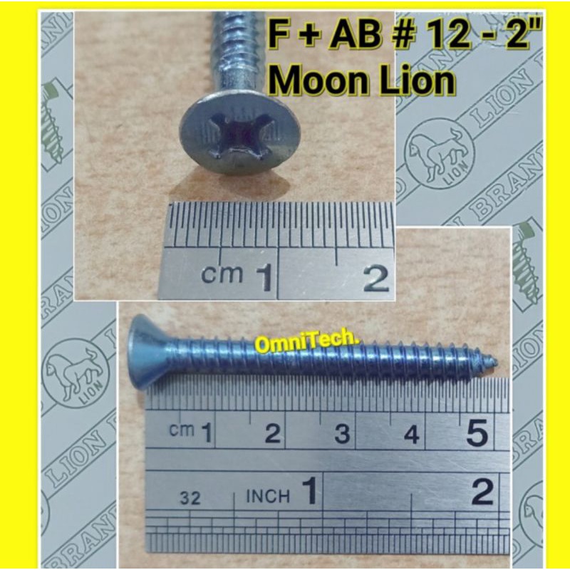 Jual "10 Pcs" Sekrup Tap Tapping Screw FAB FH Kepala Rata (+) Moon Lion ...