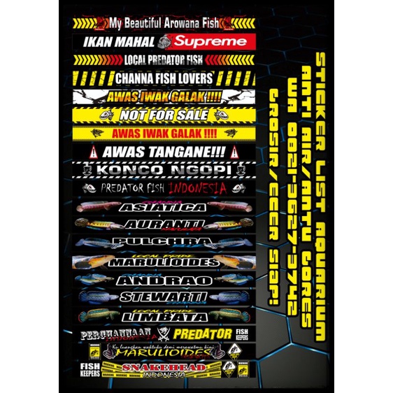 Jual (ADA BONUSNYA) Sticker iwak sticker iwak galak sticker iwak ...