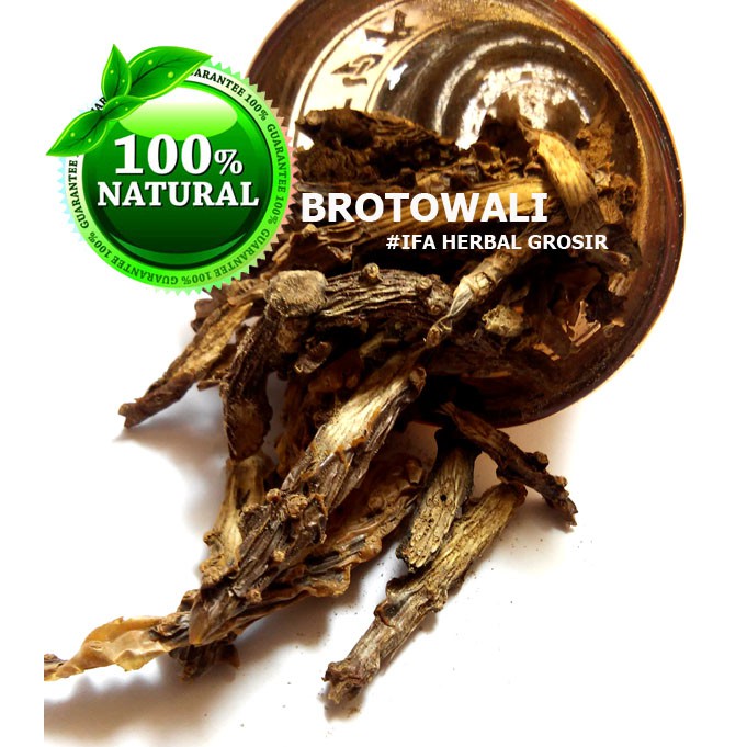 Jual Jamu Herbal Tradisional Tanaman Obat Brotowali Untuk Kencing Manis ...