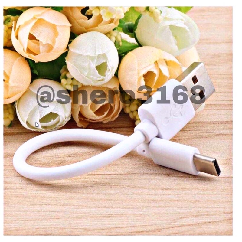 Jual [SH-140] Cable kabel data pendek / powerbank micro usb , Type c ...