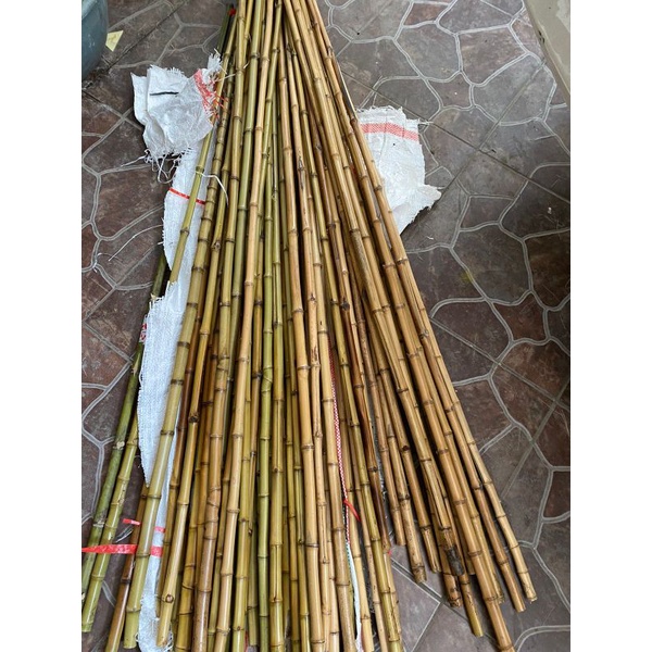 Jual batang bambu lurus panjang 150cm bisa gojek | Shopee Indonesia