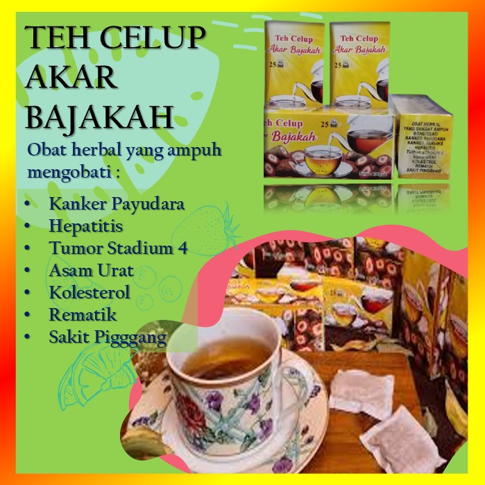 Jual Bajakah Kalimantan Asli Kayu Bajakah Akar Terbaik Teh Bajakah ...