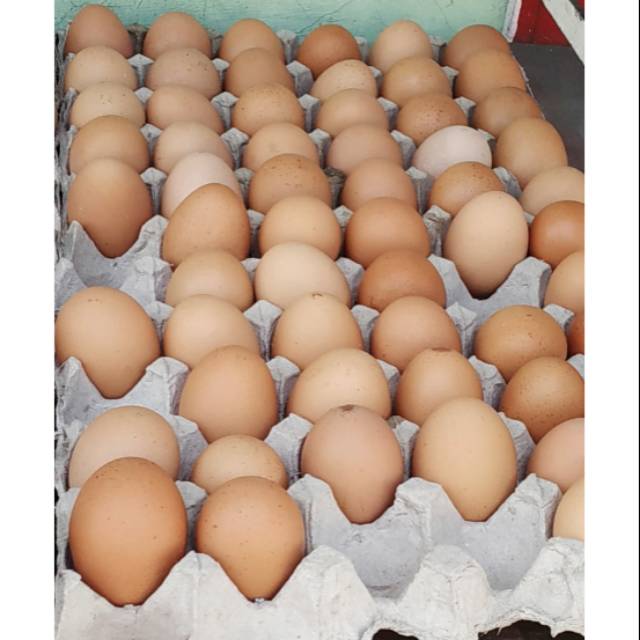 Jual TELUR AYAM | Shopee Indonesia