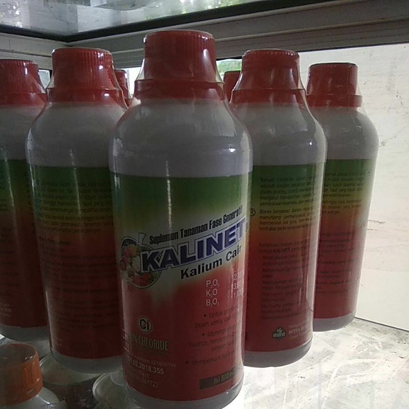 Jual kalinet 500ml | Shopee Indonesia
