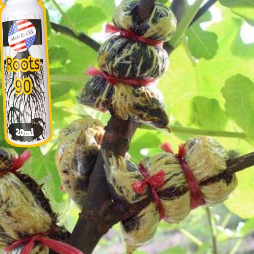 Jual ☄ Roots 90 USA 20ml Hormon Akar Dan Tumbuh Tanaman | Shopee Indonesia