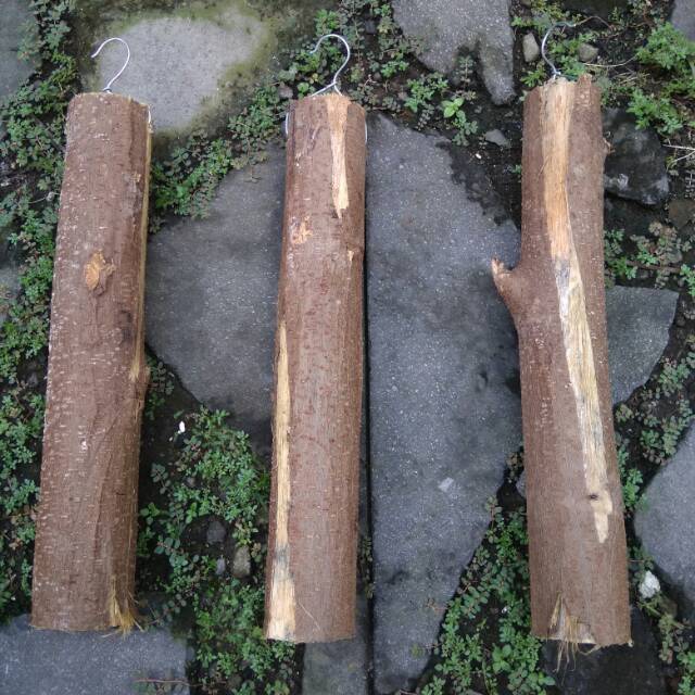 Jual Media Tanam Kayu | Shopee Indonesia