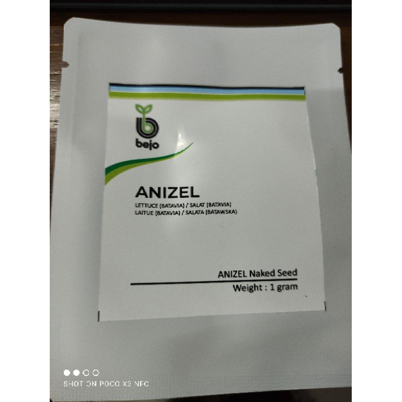Jual Benih Selada Hijau Anizel 1gr cap Bejo Repack | Shopee Indonesia