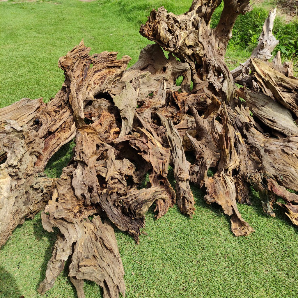 Jual Kayu Rentek Aquascape/Paludarium/CastaWood | Shopee Indonesia