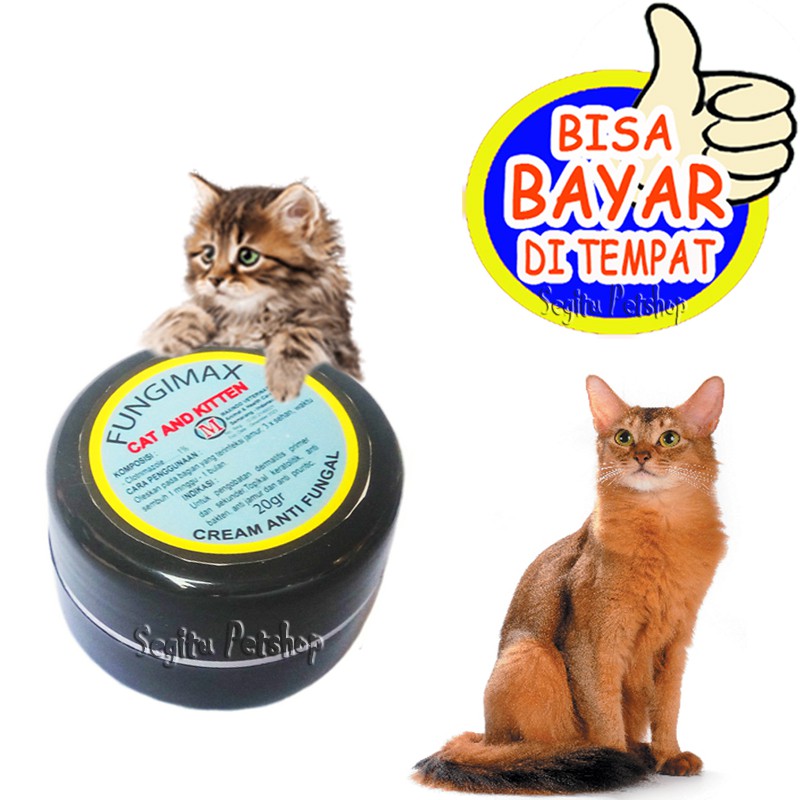 Jual OBAT JAMUR KUCING OBAT CREAM KORENG SCABIES KITTEN FUNGIMAX SALEP ...