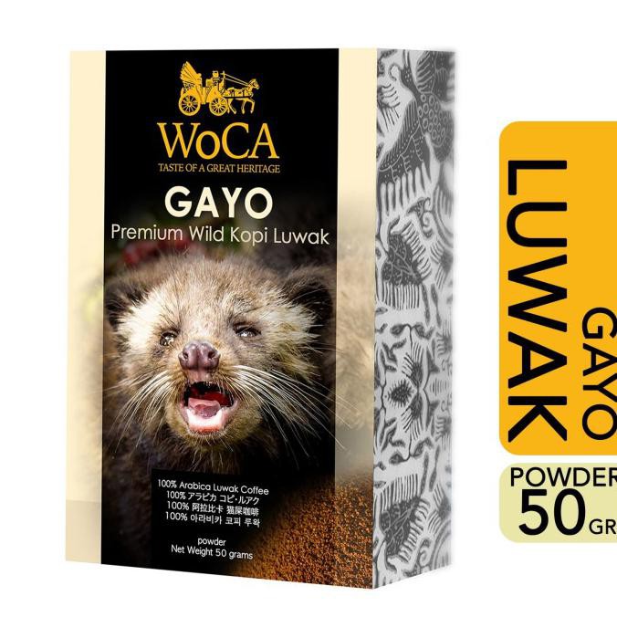Jual Kopi- WoCA Kopi Luwak Gayo Premium 50/125 gram - 50 gram,Biji ...