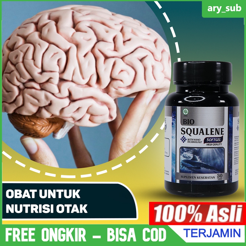 Jual Obat Nutrisi Otak, Suplemen Vitamin Penambah Daya Ingat ...