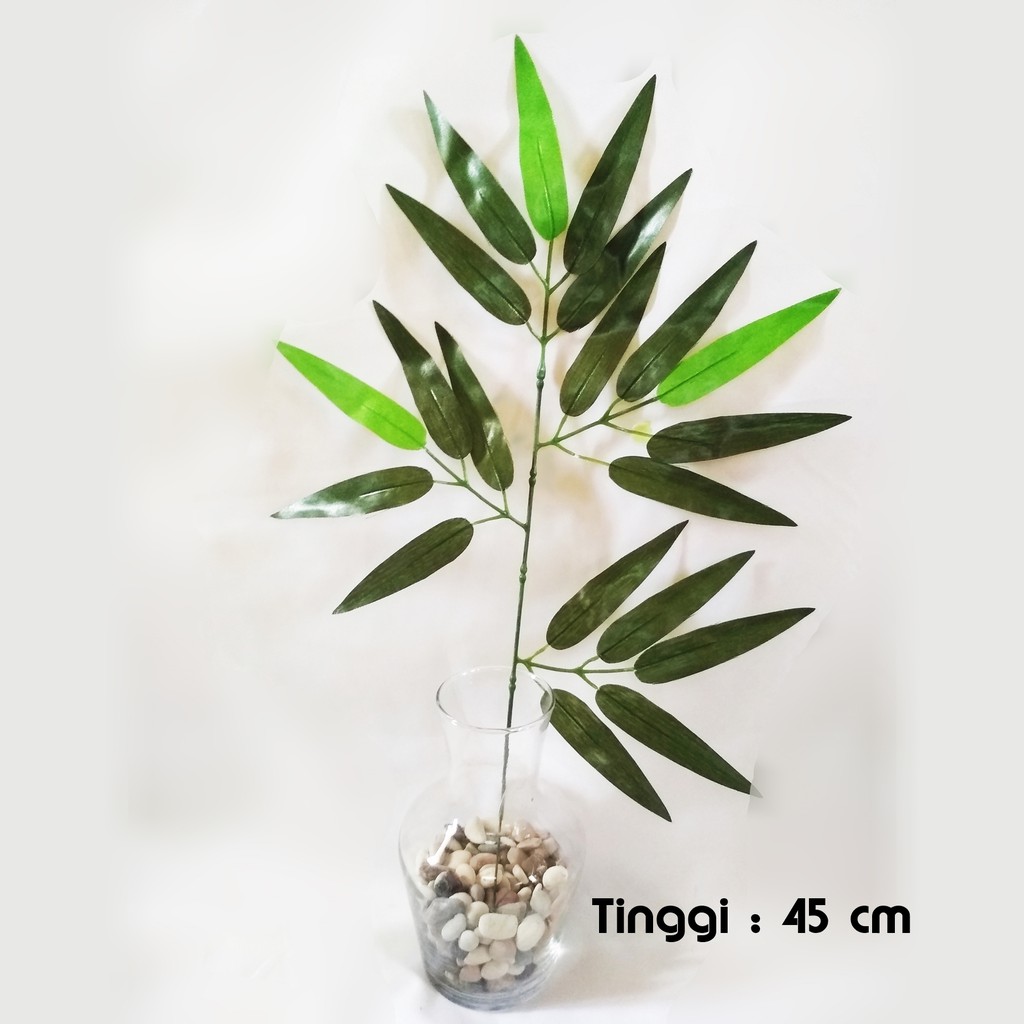 Jual Daun Tangkai Monstera Pakis Bambu Eucalyptus Palem | Shopee Indonesia