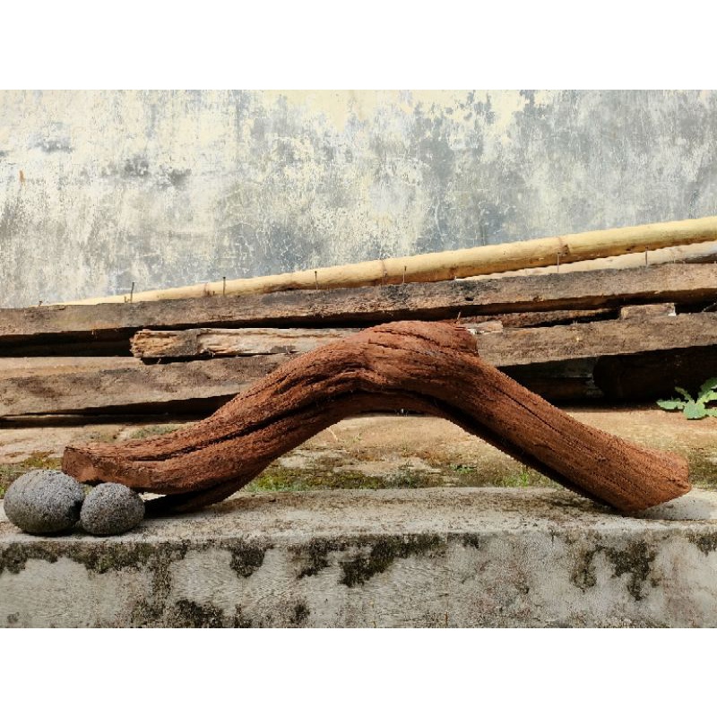 Jual Kayu Rentek Santigi Gunung Aquascape Chana Predator paludarium ...