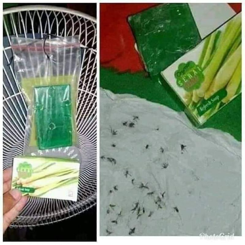 Jual SABUN SEREH UNTUK GIDUAN DAN BISA UNTUK PENANGKAL NYAMUK ALAMI ...