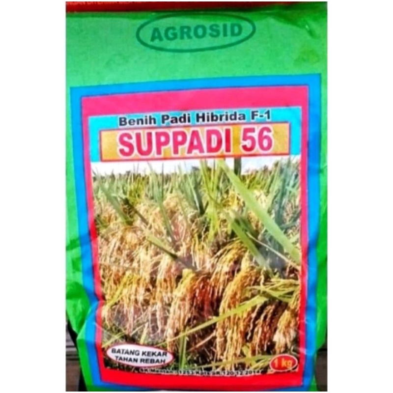 Jual BENIH PADI HYBRIDA F1 SUPADI 56 AGROSID KEMASAN 1KG | Shopee Indonesia