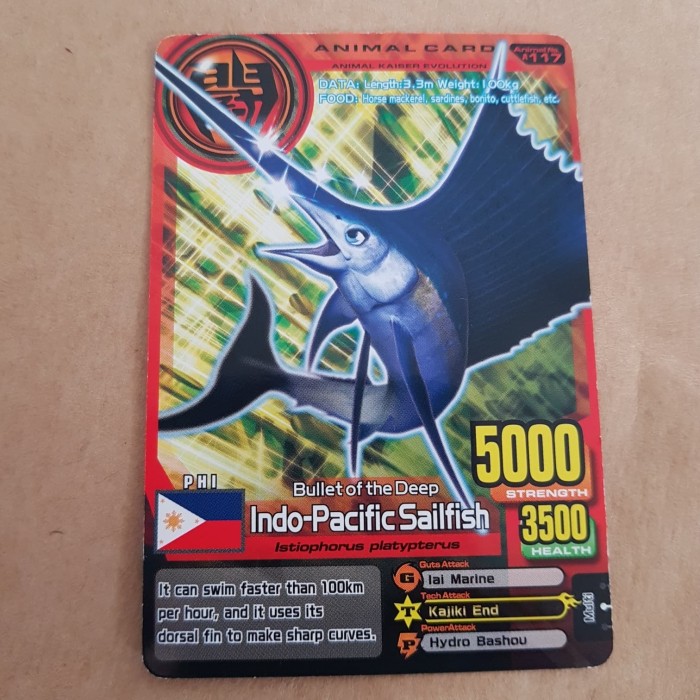 Jual Animal Kaiser Card, Kartu Indo Pacific Sailfish, Animal Card | Shopee Indonesia