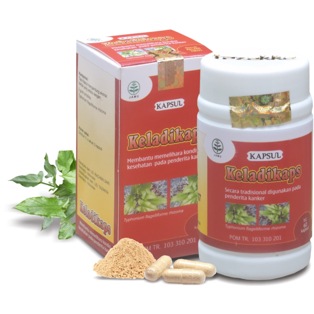 Jual Obat Tumor dan Benjolan Di Tubuh Exstrak Kladi Tikus Original ...