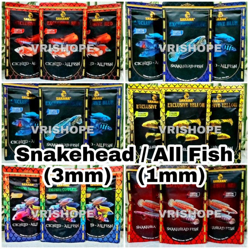 Jual Sakana Exclusive Complete Blue Red Yellow Snakehead Fish Cichlid ...