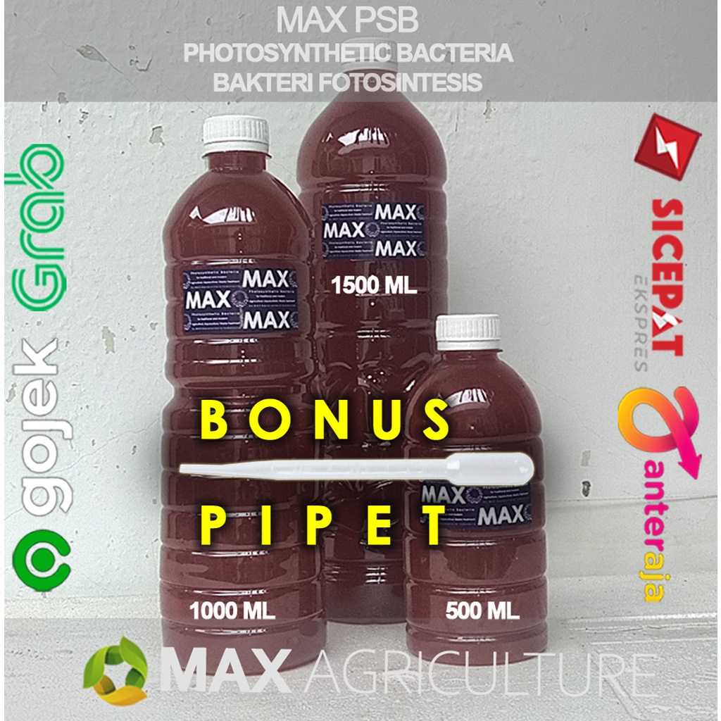 Jual Probiotik MAX PSB Bakteri starter kolam aquarium aquascape kolam koi 1.5 liter | Shopee ...