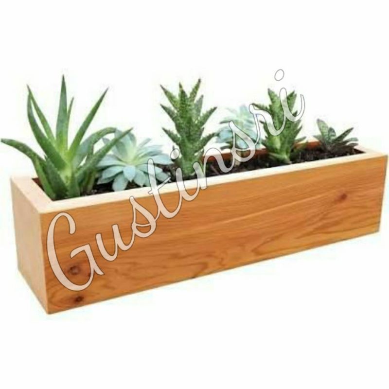 Jual planter box Harga Terbaik & Termurah April 2026 | Shopee Indonesia