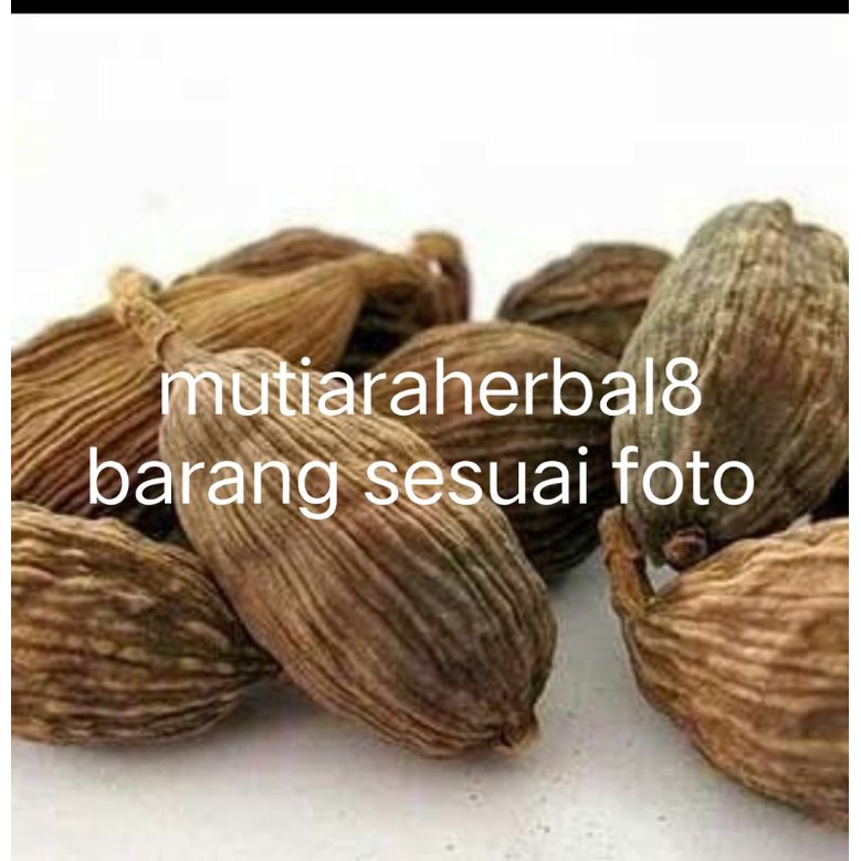 Jual 1000 gr gram cao Guo black cardamom kapulaga hitam tsaoko amomum ...