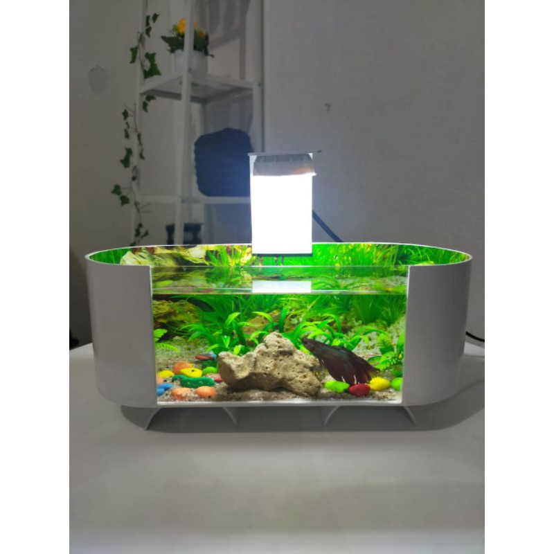 Jual aquarium kura-kura/aquarium khusus ikan kecil/aquarium unik pvc ...