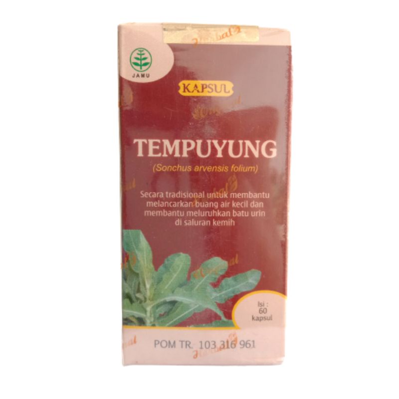 Jual Kapsul Tempuyung 60 Kapsul Tazakka | Shopee Indonesia
